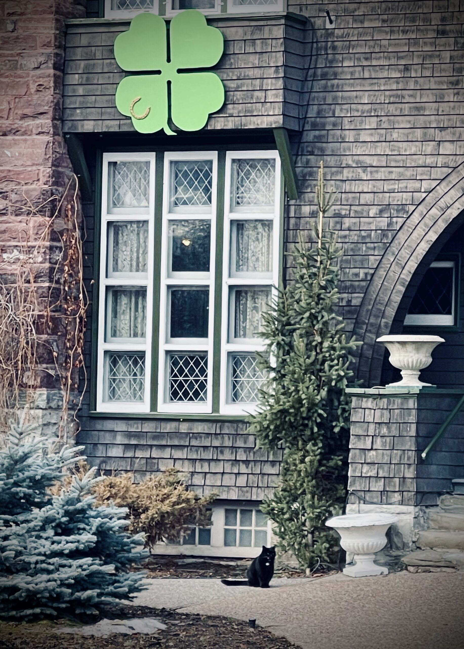 The Conrad Mansion and the Fairy Steps - Christa Joy Handford